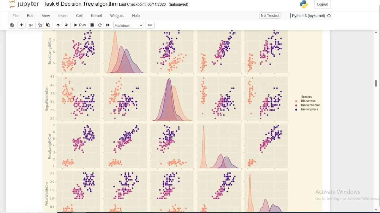 Intermediate level Task 2 Decison Tree algorithm - YouTube