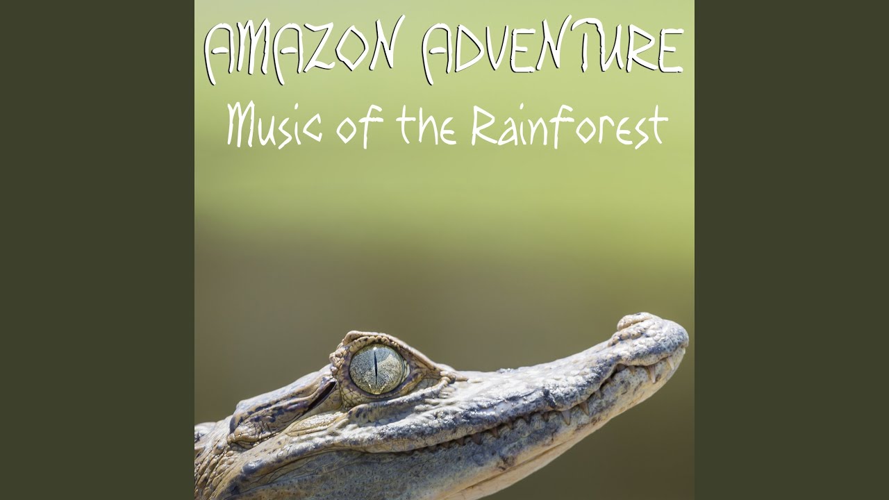 Through the Amazon - YouTube