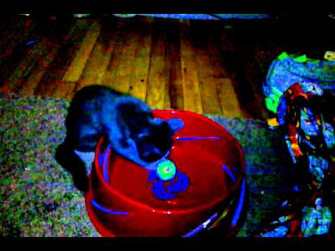 3 2 1 let it rip - YouTube