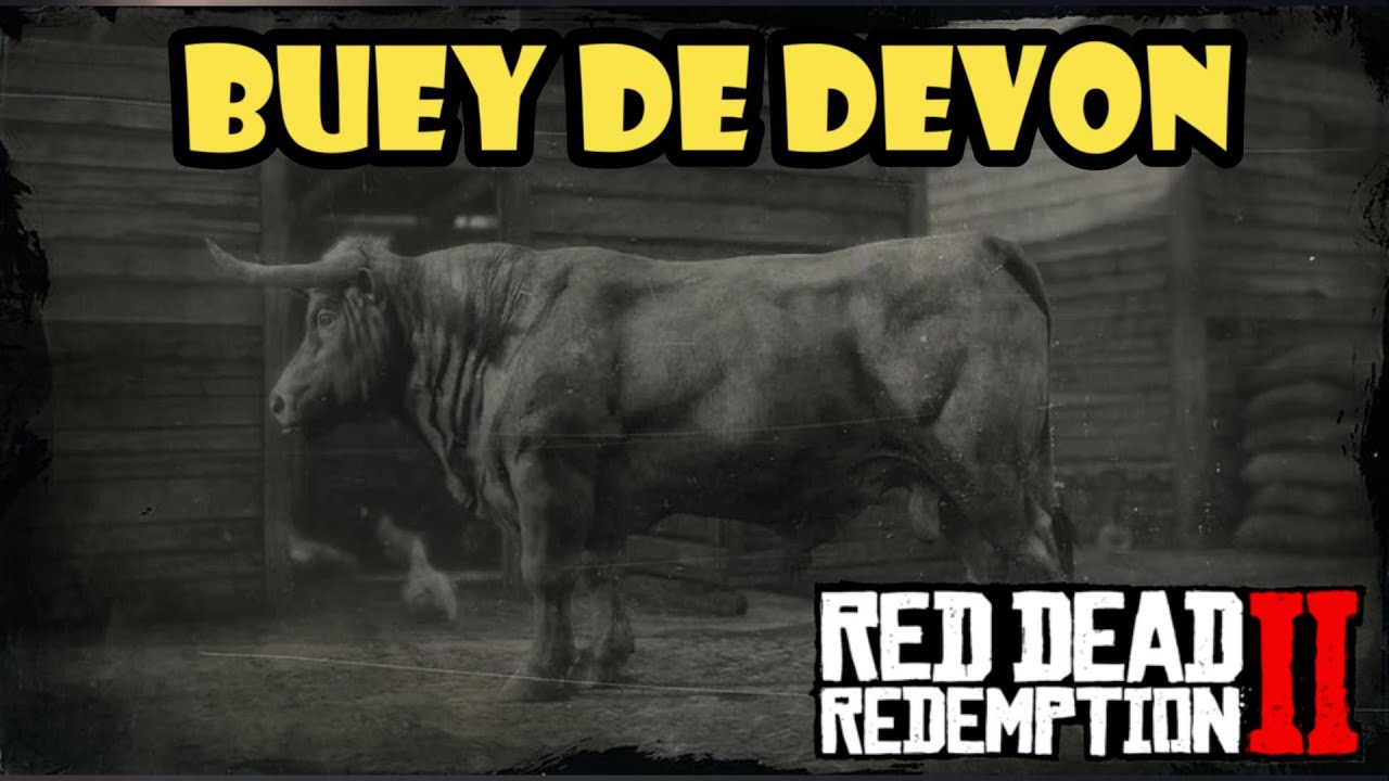 Donde encontrar el BUEY de DEVON en Red Dead Redemption 2 ️ - YouTube