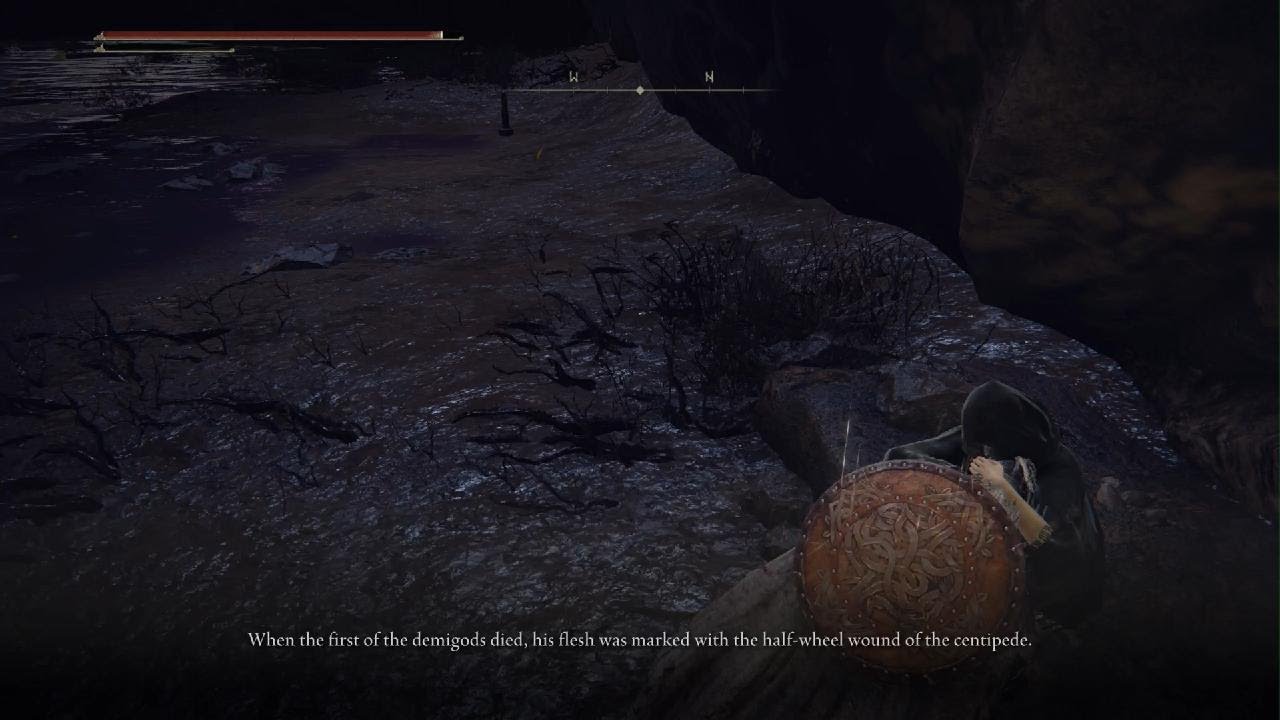 ELDEN RING fia the deathbed companion (after she leaves) and "hold you ...