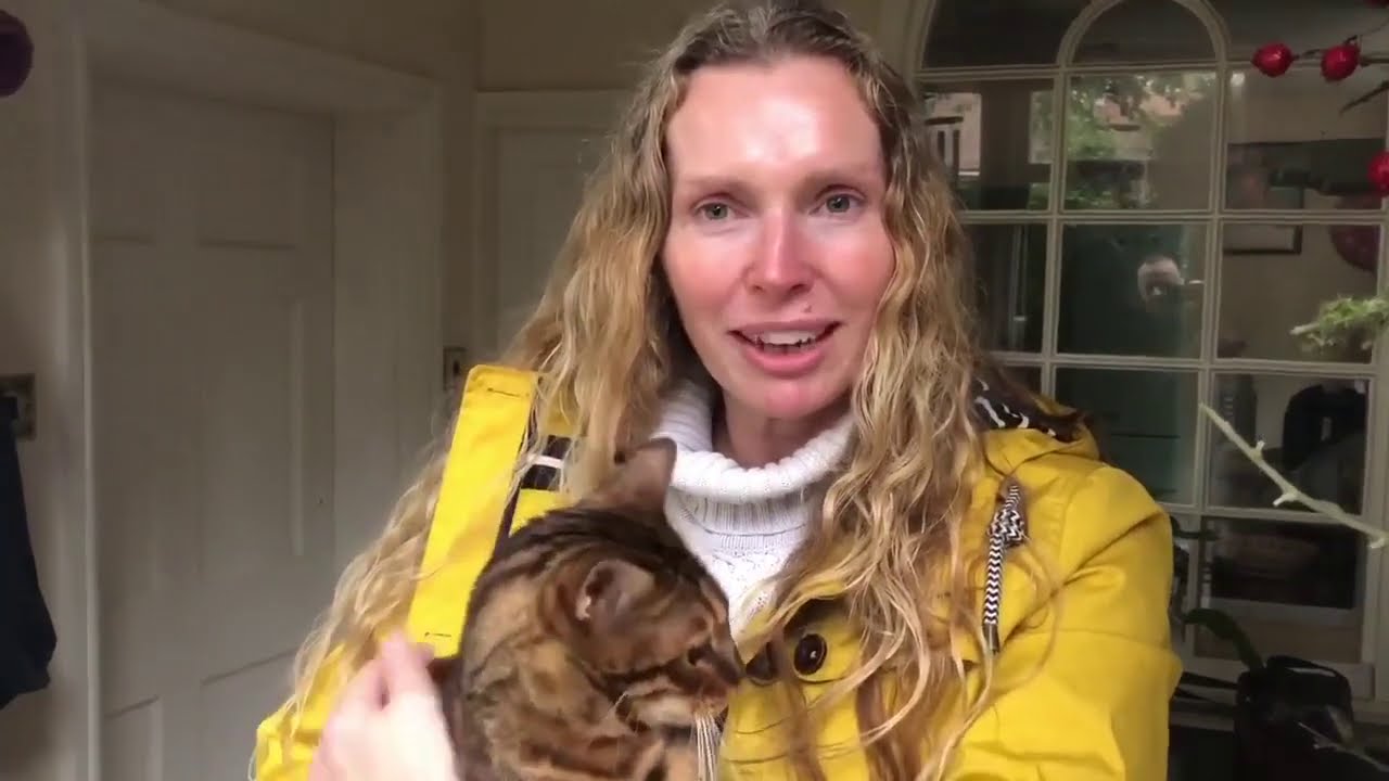 The latest on a sculpture of Gerald, the York Minster cat - YouTube