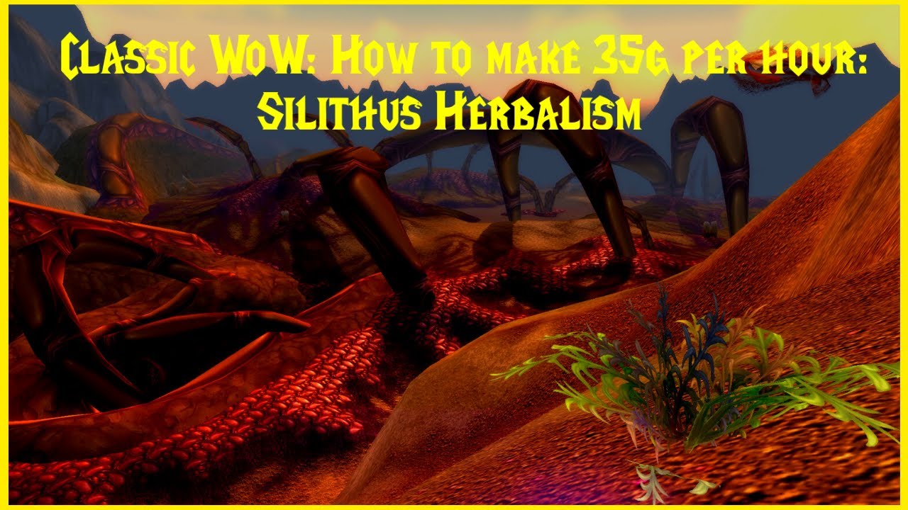 Classic WoW: How to make 35g per hour: Silithus Herbalism - YouTube