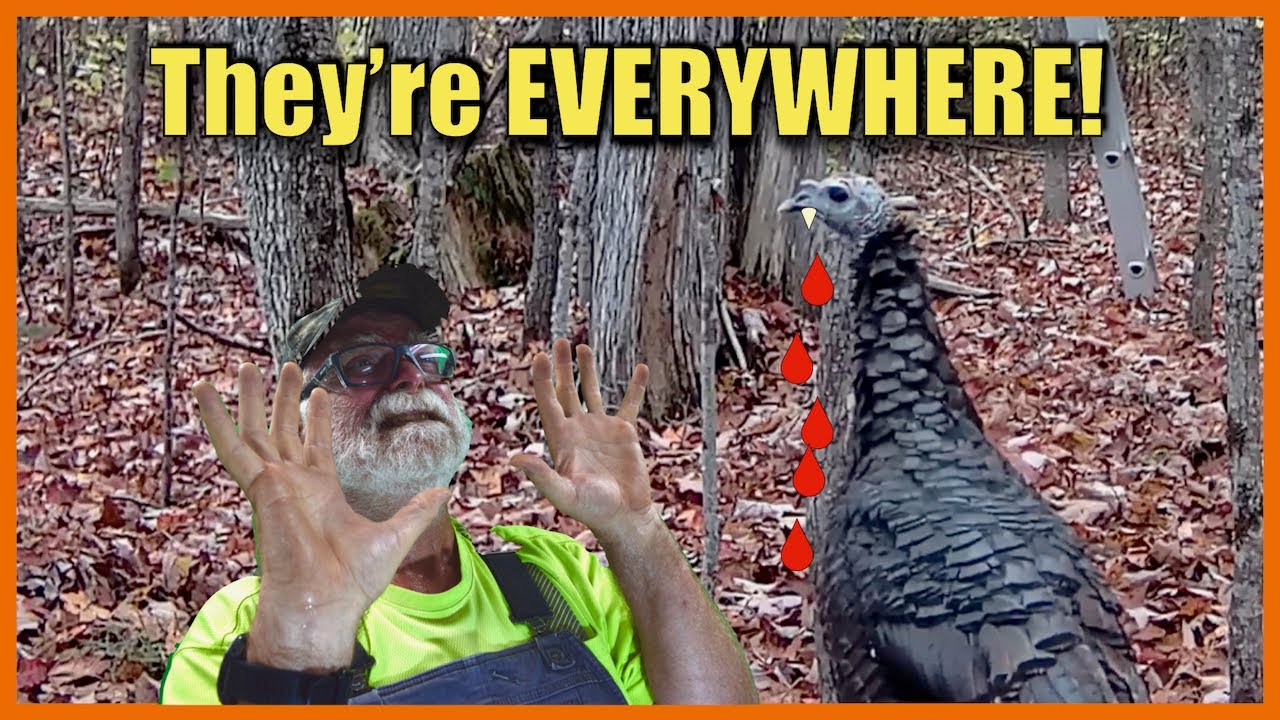 Turkey's October Invasion - Caught on Camera - YouTube