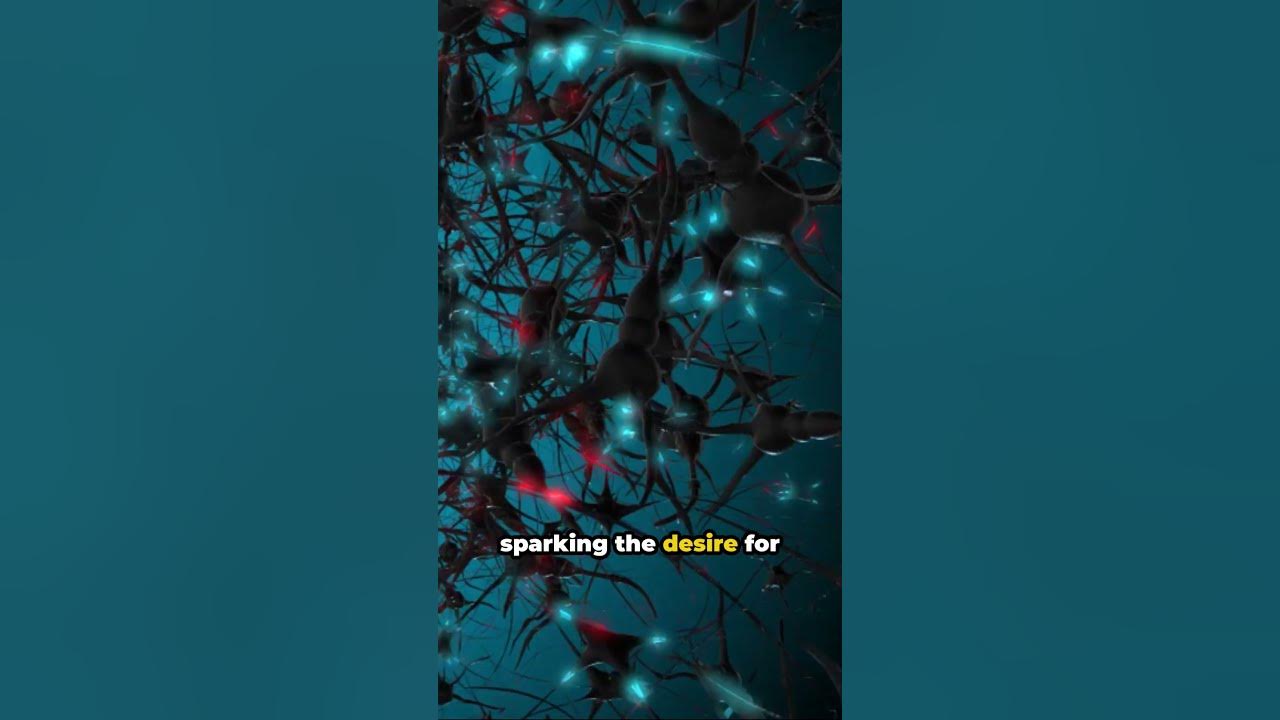 Craving Snacks After Meal? Blame Your Brain! #shorts - YouTube