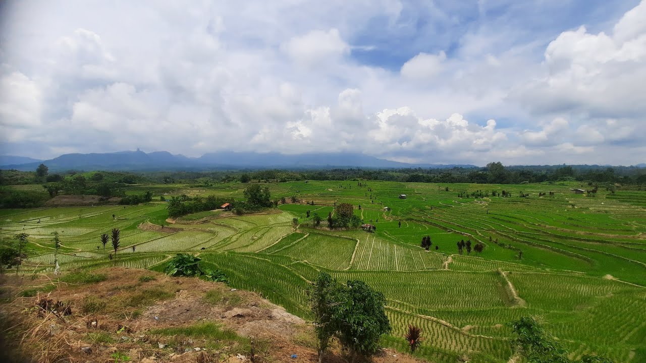 Mencari Jejak Darat Keindahan Alam BUNDARAN BALIGE - PARSOBURAN ...