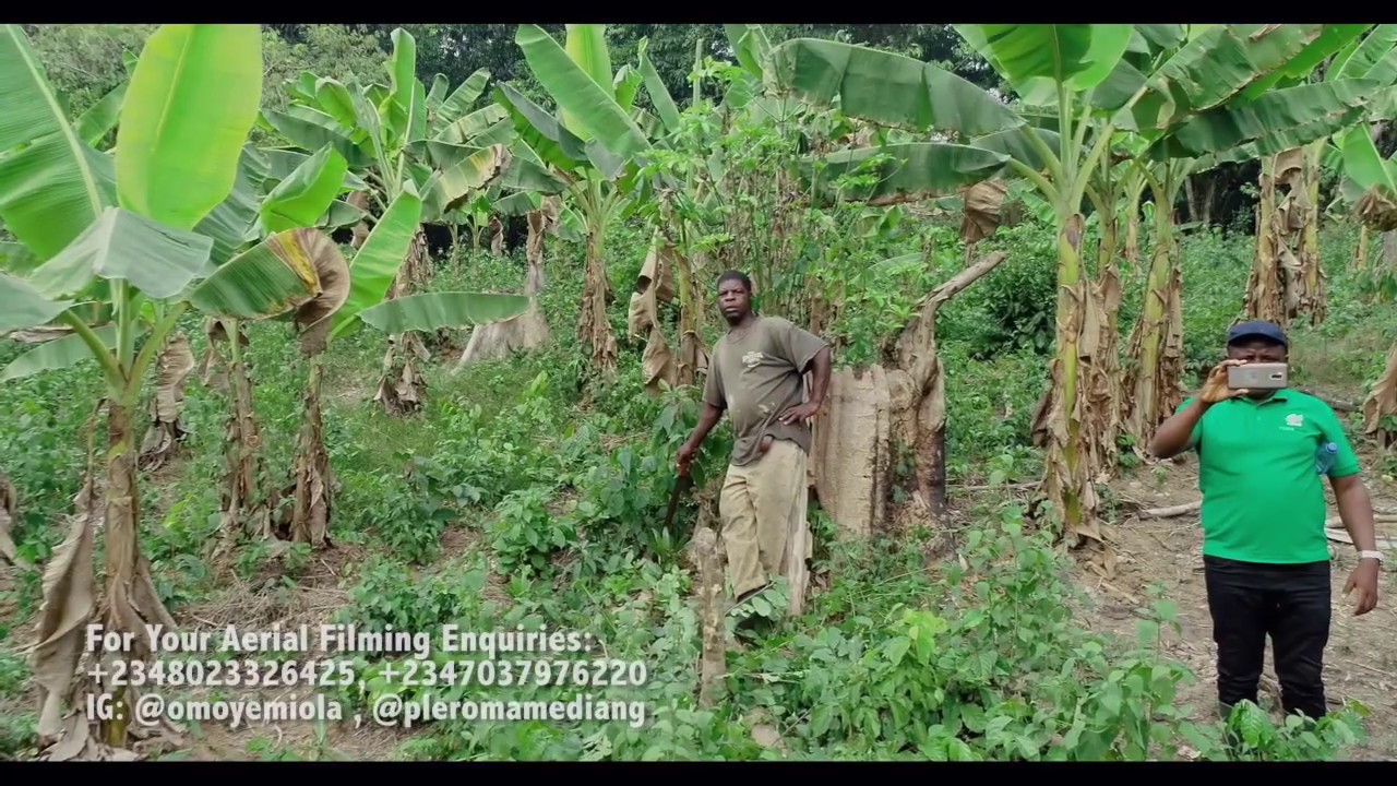 FARM RIGHT ESTATE AERIAL VIEW - YouTube