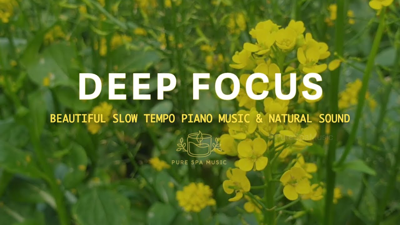 Beautiful Music for Deep Focus, Concentration 🧘‍♀️ Relaxation ☘️ Pure Spa Music #piano # ...