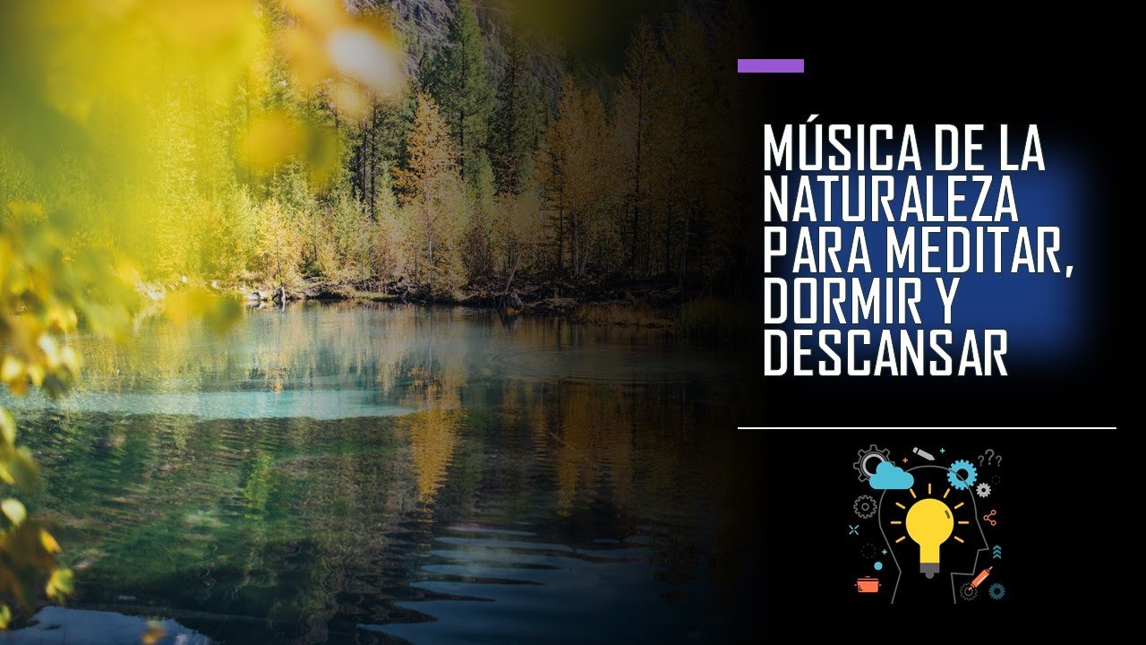 Música de la naturaleza y música instrumental. Música relajante. Dormir ...