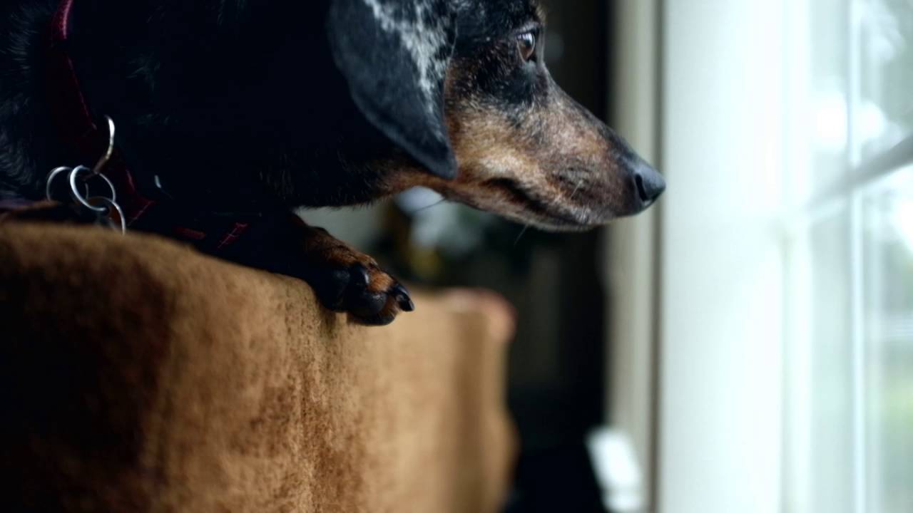 Fuji x100s Sample Video