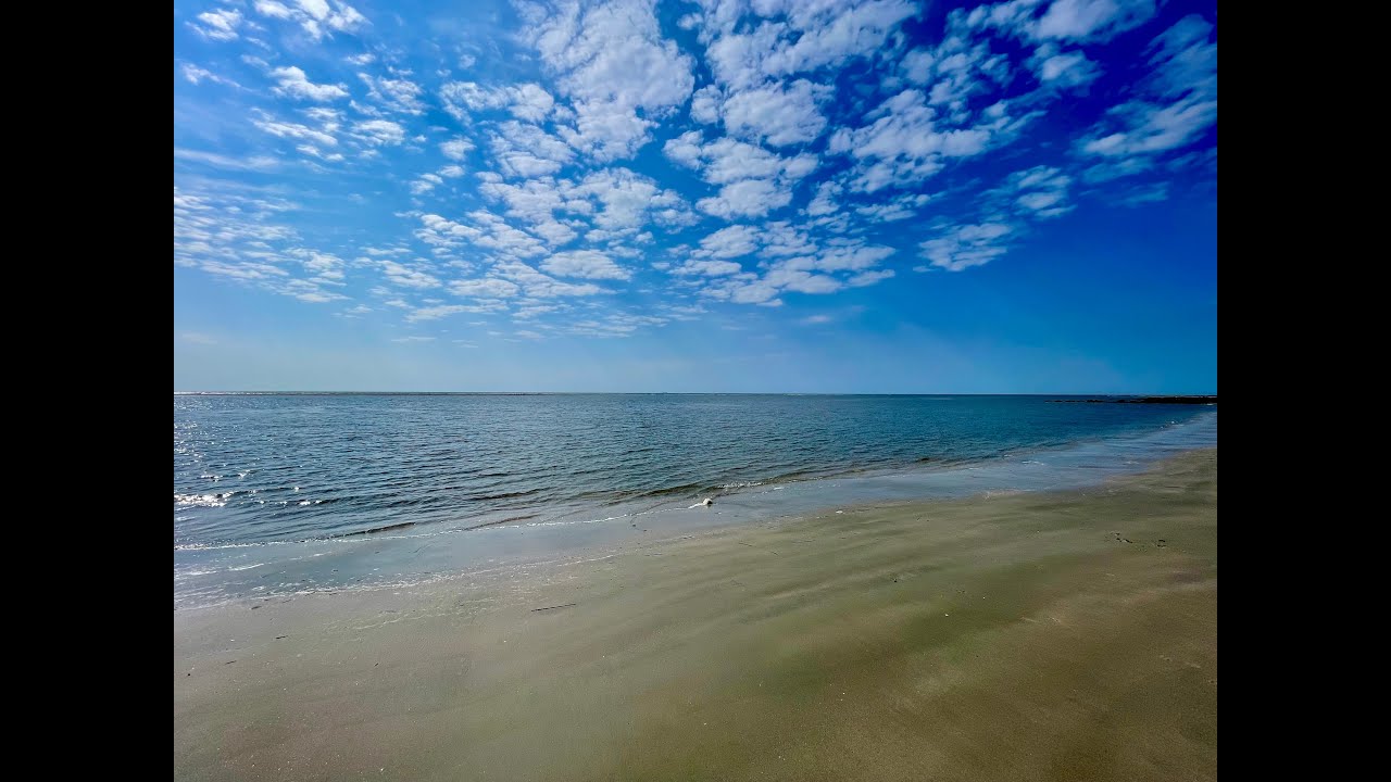 Birding the Breach Inlet, eBird Hotspot #41, (Charleston, South ...