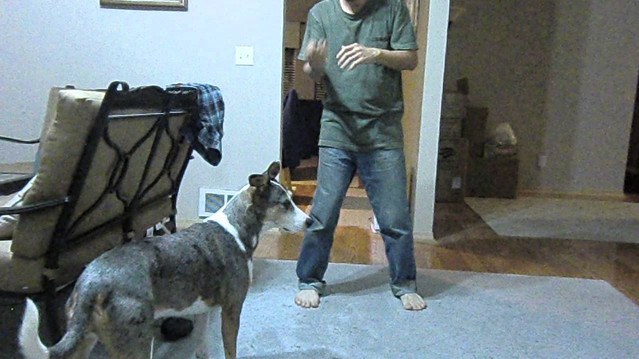 詠春尋橋心得（二）：進馬和標馬步法練習 Wing Chun Cham Kiu: Jun ma and Biu Ma Exercise ...