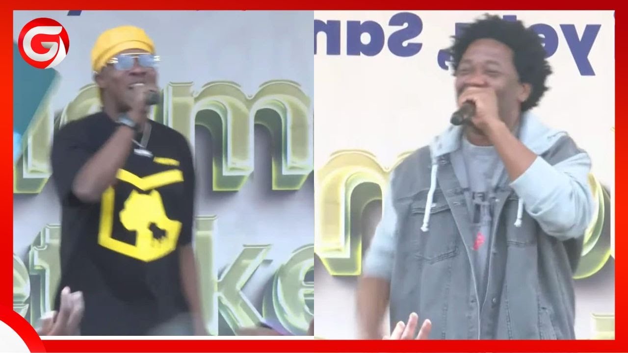 CHEKI VAIBU LA SHOO ya CHENGE na AY TANGA MBELE ya RAIS SAMIA ...