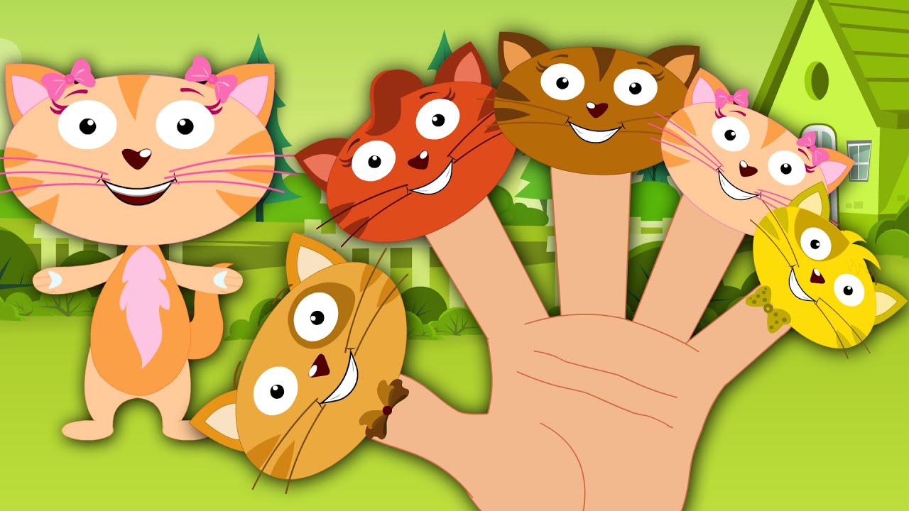 Cat Finger Family For Babies And Toddlers - YouTube