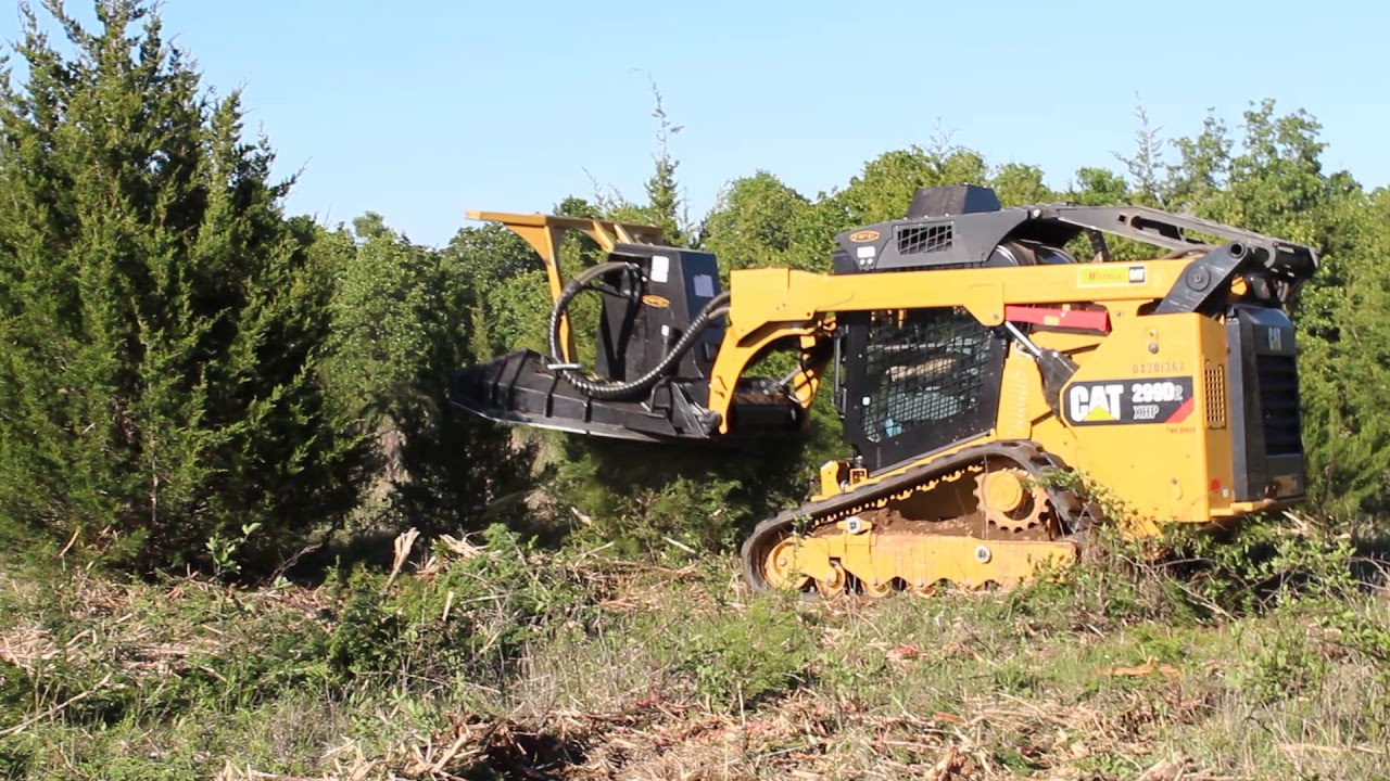 Cedar Tree Clearing - YouTube