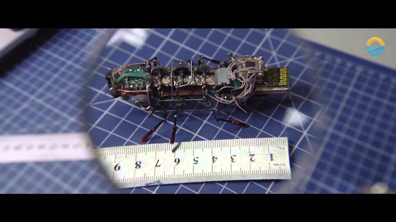 RoboRoach: Russian Scientists Create Cockroach Rob - YouTube