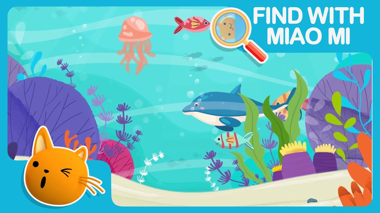 Find with Miao Mi - Jellyfish & Dolphin | Learn Mandarin for Kids ...