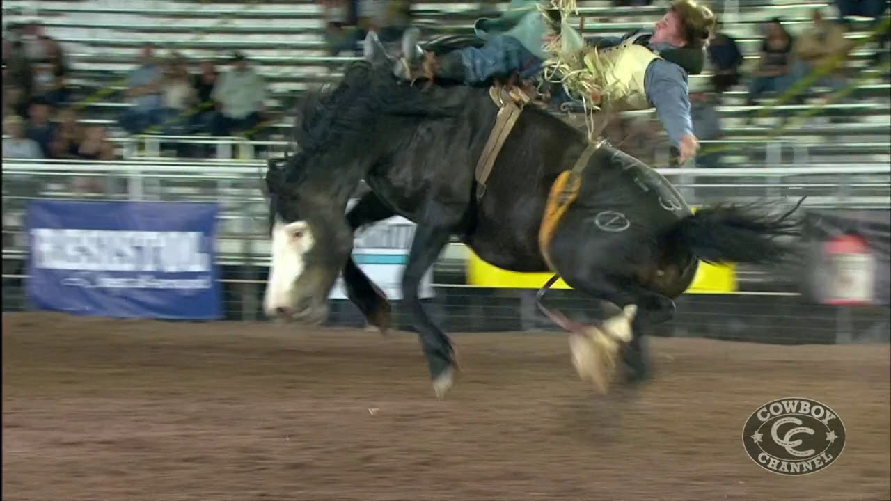 Bronc Marriott | Cave Creek Rodeo Days | 2020 - YouTube