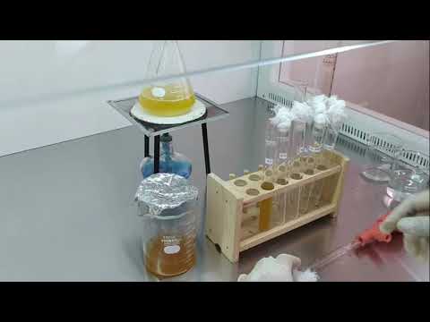 Mikrobiologi Farmasi "Uji Aktivitas Anti Mikroba dengan Metode Difusi ...