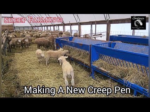 Sheep Farming: Making A New Creep Pen - YouTube
