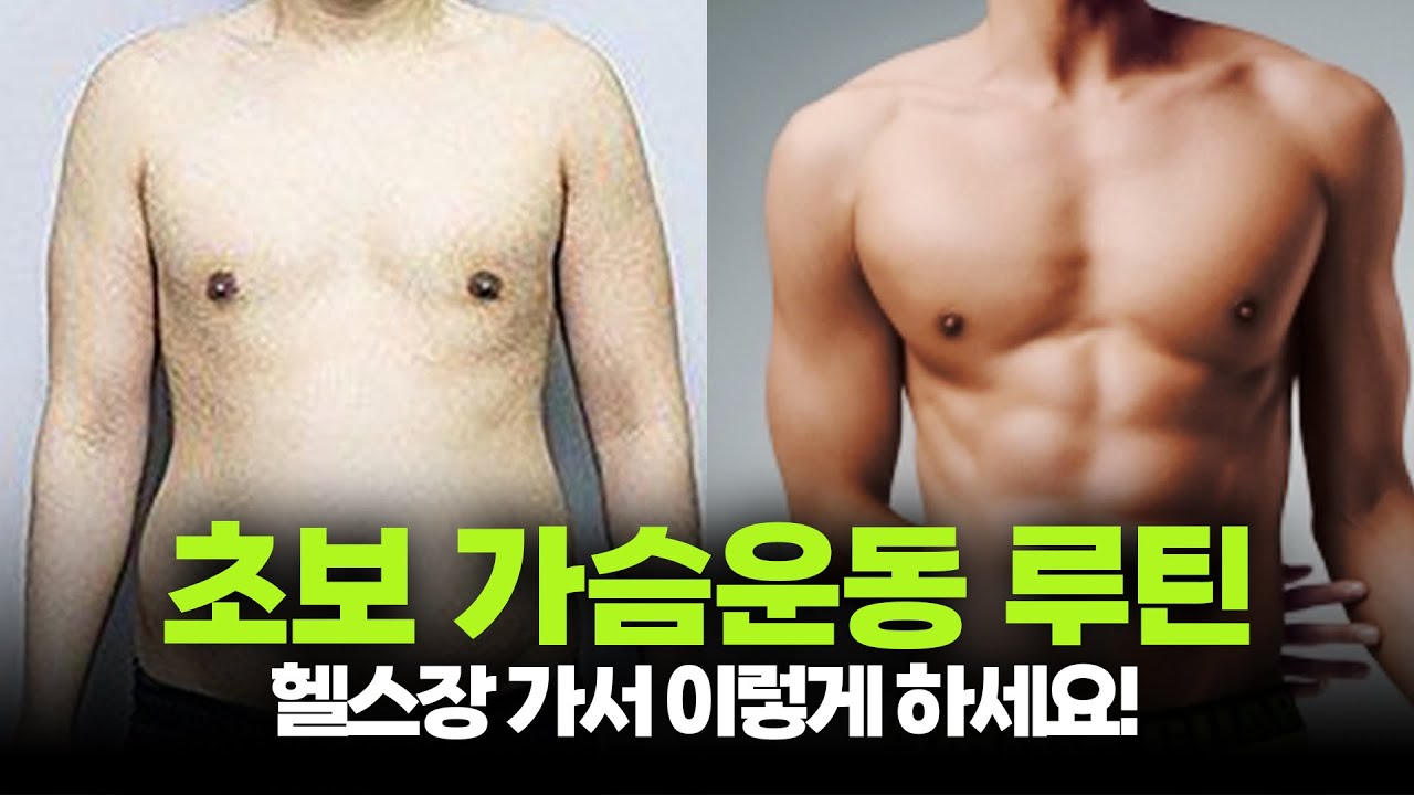 헬스장 가서 뭐하지 헬스초보 가슴운동 루틴 헬린이 운동루틴 종류 순서 Youtube
