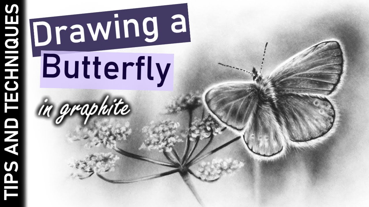 How to draw a Butterfly & flowers in graphite | Realistic graphite ...