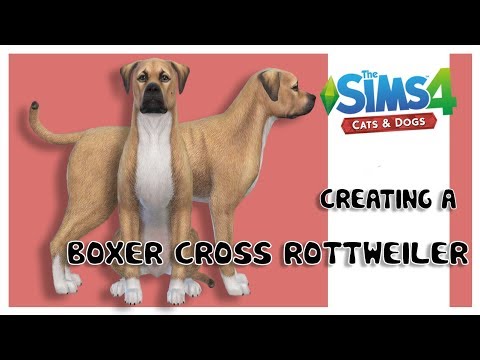 Creating a Boxer cross Rottweiler Dog in The Sims 4 Create a Pet - YouTube