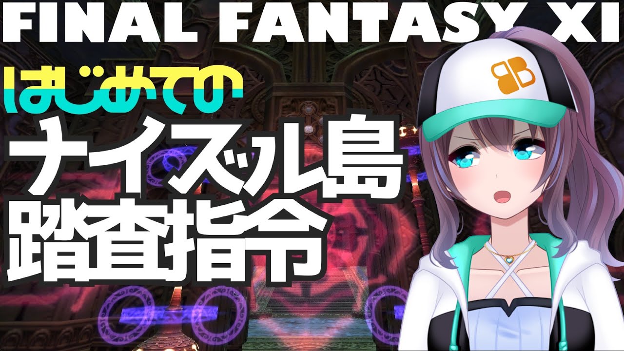 【FF11】12時間以内に目指せ100層！はじめてのナイズル！ - YouTube