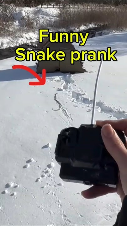 funny snake prank #prank #funny #funnyvideo #viralvideo #laugh #comedy ...