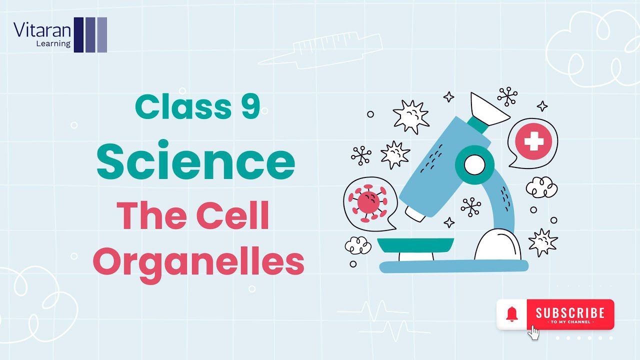 Class 9. Science The Cell Organelles - YouTube
