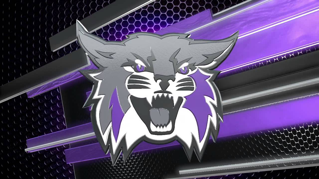 Wildcat Transition Animation - YouTube
