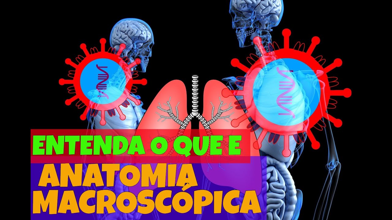 ENTENDA O QUE E ANATOMIA MACROSCÓPICA - YouTube