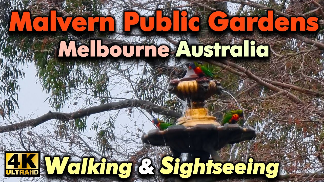 MALVERN PUBLIC GARDENS WALKING TOUR OLD TREES NATURAL SPRING AND BIRDS ...