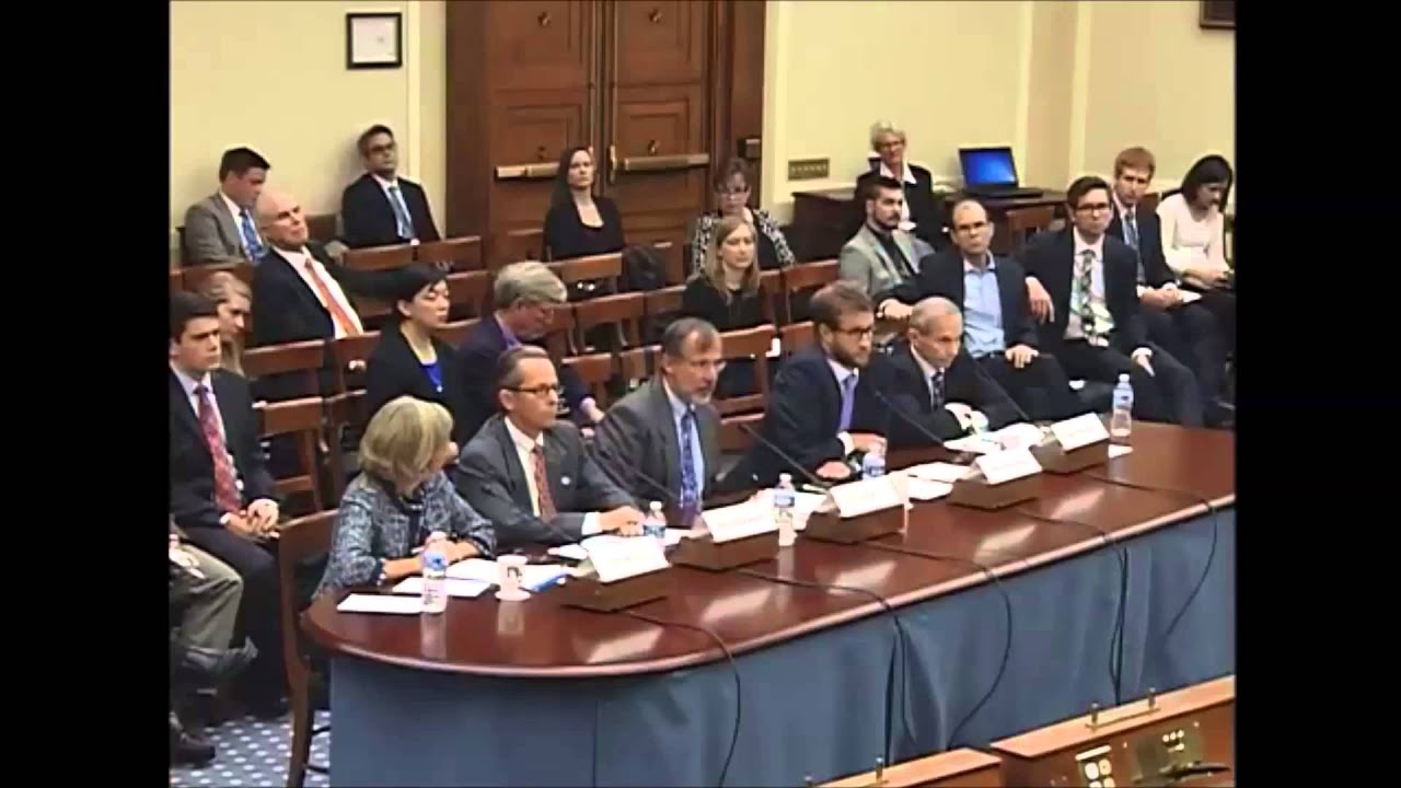 Questioning witnesses at the SST Committee on the RFS Program - YouTube