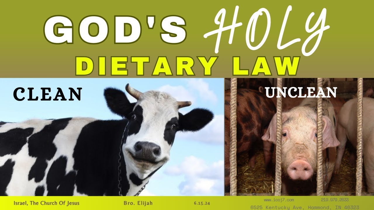 GOD S HOLY DIETARY LAW YouTube GOD S HOLY DIETARY LAW YouTube