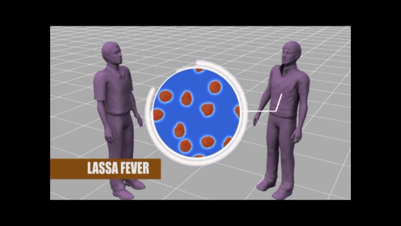 LASSA FEVER Virus : Definition, Causes, Symtoms and Prevention - YouTube