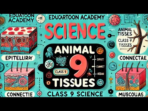 Animal Tissues | Class 9 Science | EduCartoon Academy | CBSE | NCERT ...
