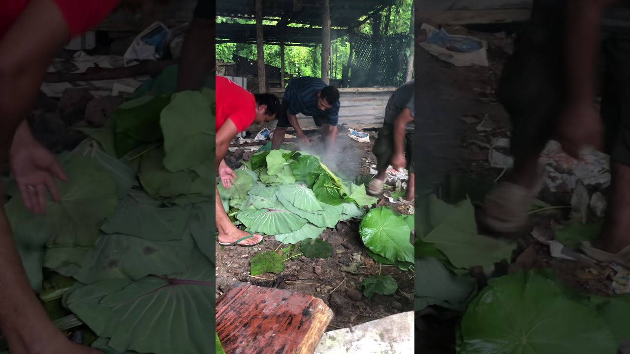 Cooking pig in the Samoan umu part 3 - YouTube