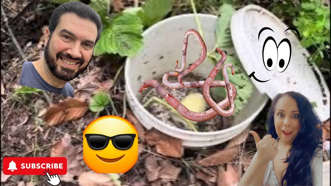 Outdoor Worm Bucket Gardening: The Ultimate Guide - YouTube