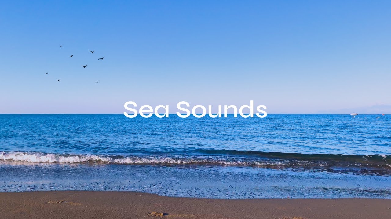 Calm Sea and Gentle Waves for Relaxing Ambience | ASMR 4K - YouTube