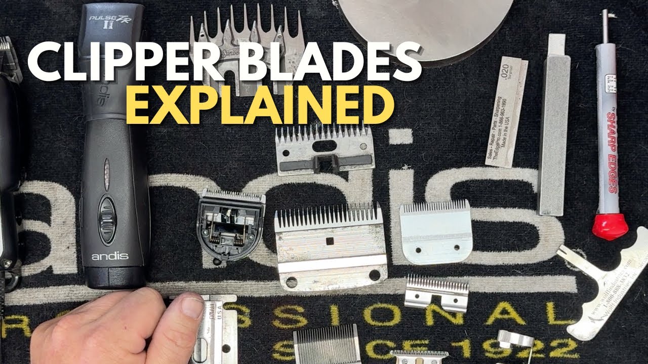 Different Styles of Clipper Blades (Basics) - YouTube