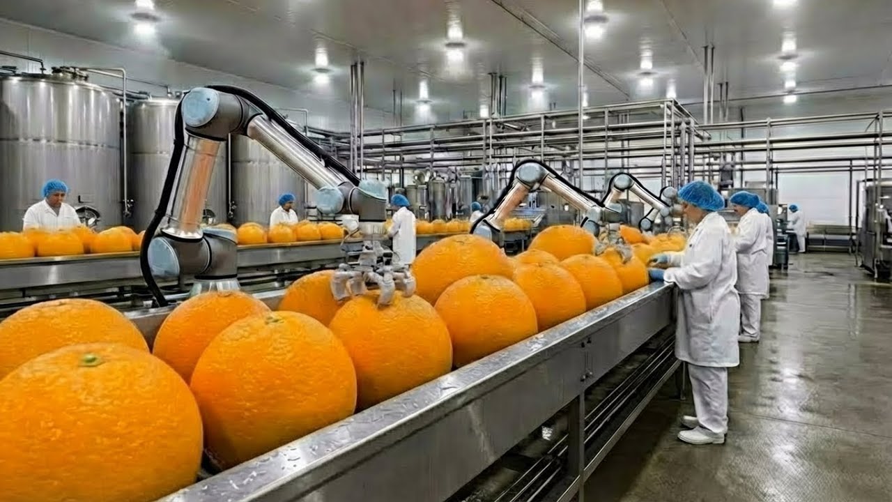 Inside the Orange Juice Factory – How Millions of Fresh Oranges Become ...