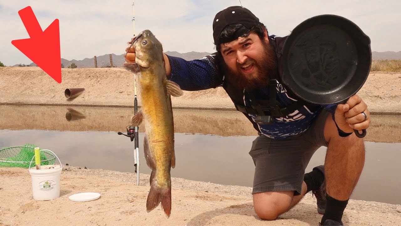 Catch and Cook Channel Catfish from a Tiny Desert Canal! - YouTube