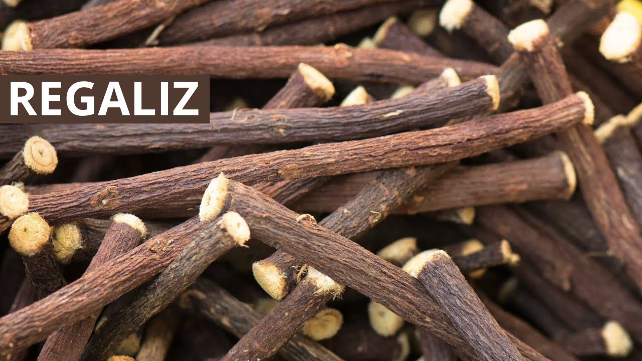 ¿Qué es el REGALIZ? Propiedades y beneficios del Regaliz - YouTube