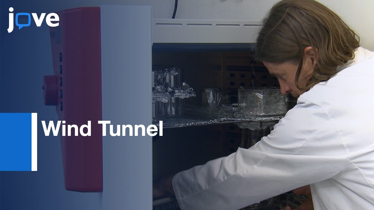 Wind Tunnel For Odor Mediated Insect Behavioural Assays l Protocol ...