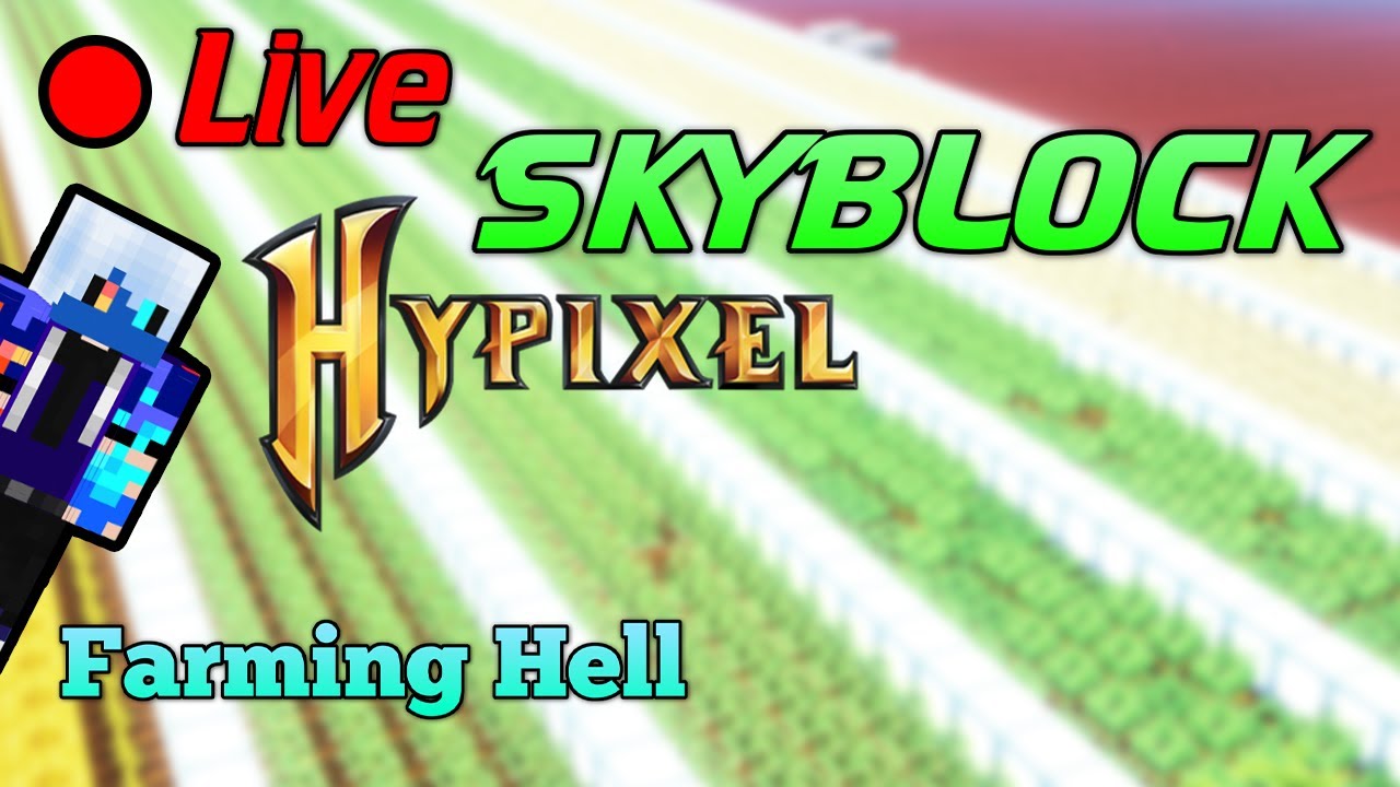 Farming Hell - Minecraft Hypixel Skyblock Relaxing Live Stream - YouTube