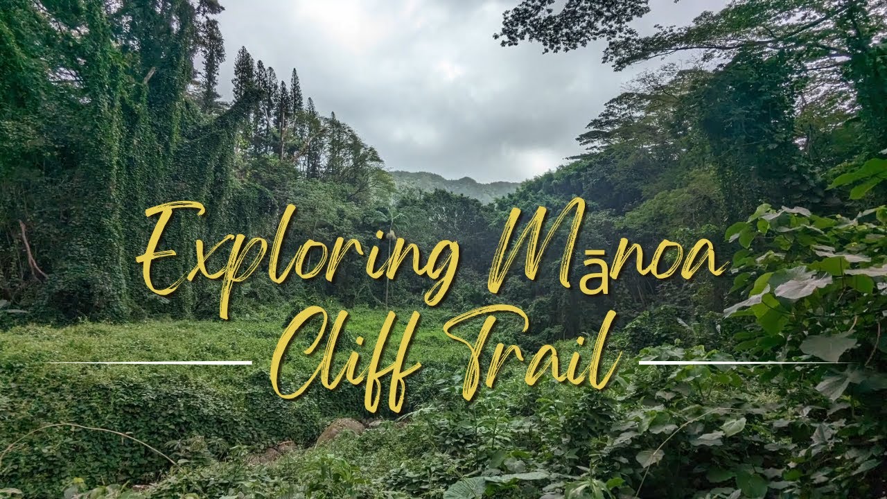 Manoa Cliff Trail - YouTube