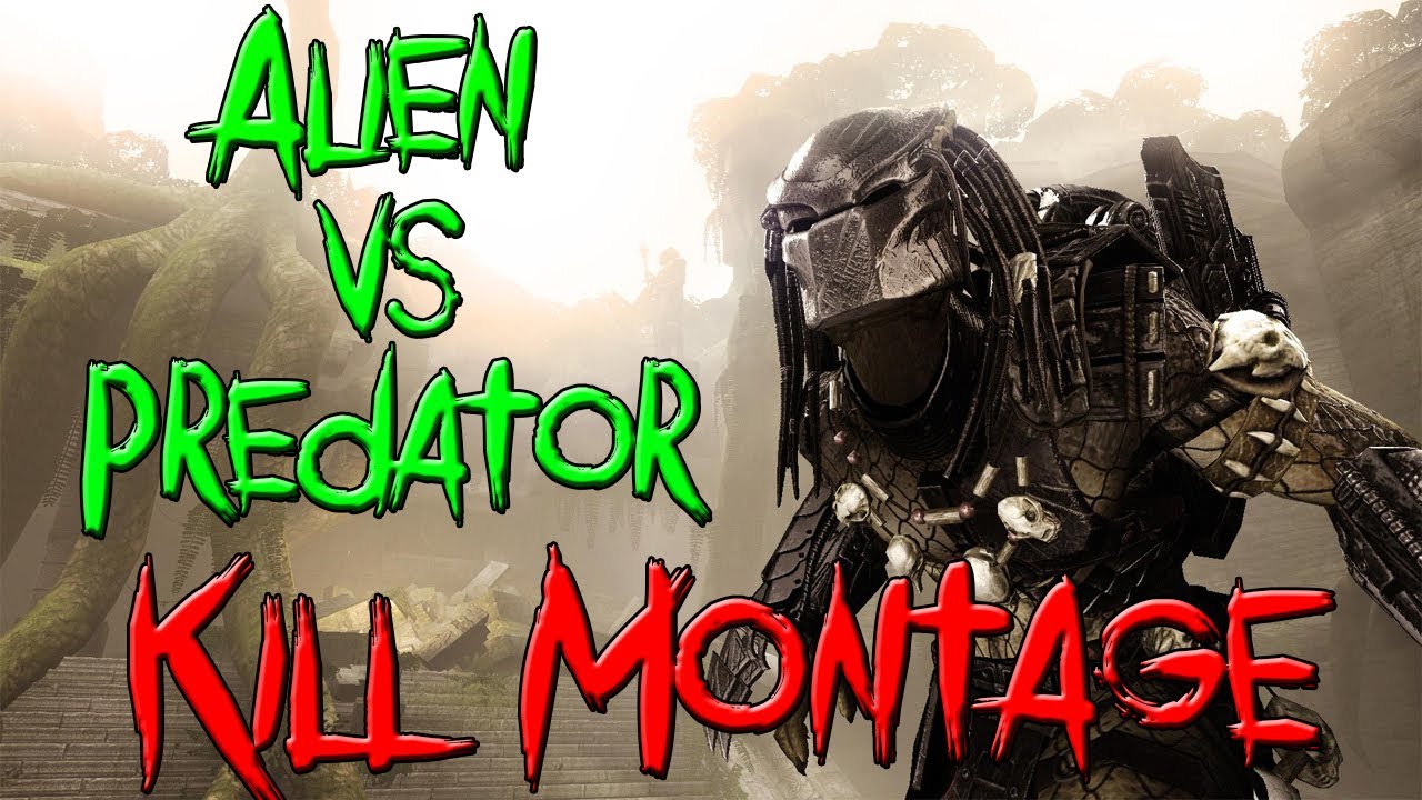 Alien vs Predator Kill Montage [Video Game] - YouTube