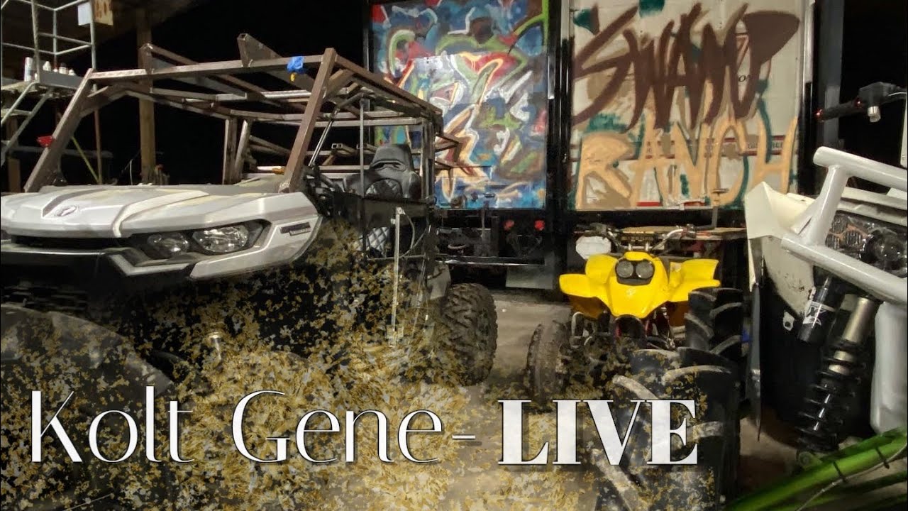 Kolt Gene LIVE - YouTube
