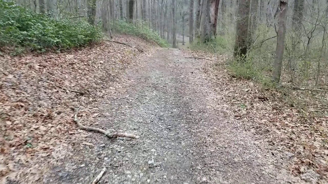 Hugg Thomas Wildlife Management Area #2 - YouTube